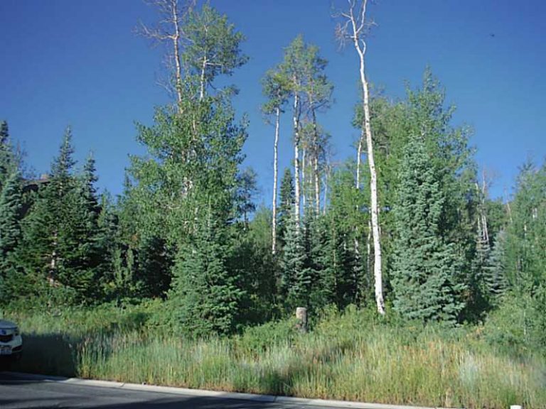 Wall Lake Uinta Mountains | Hiking in Uintas | Utah